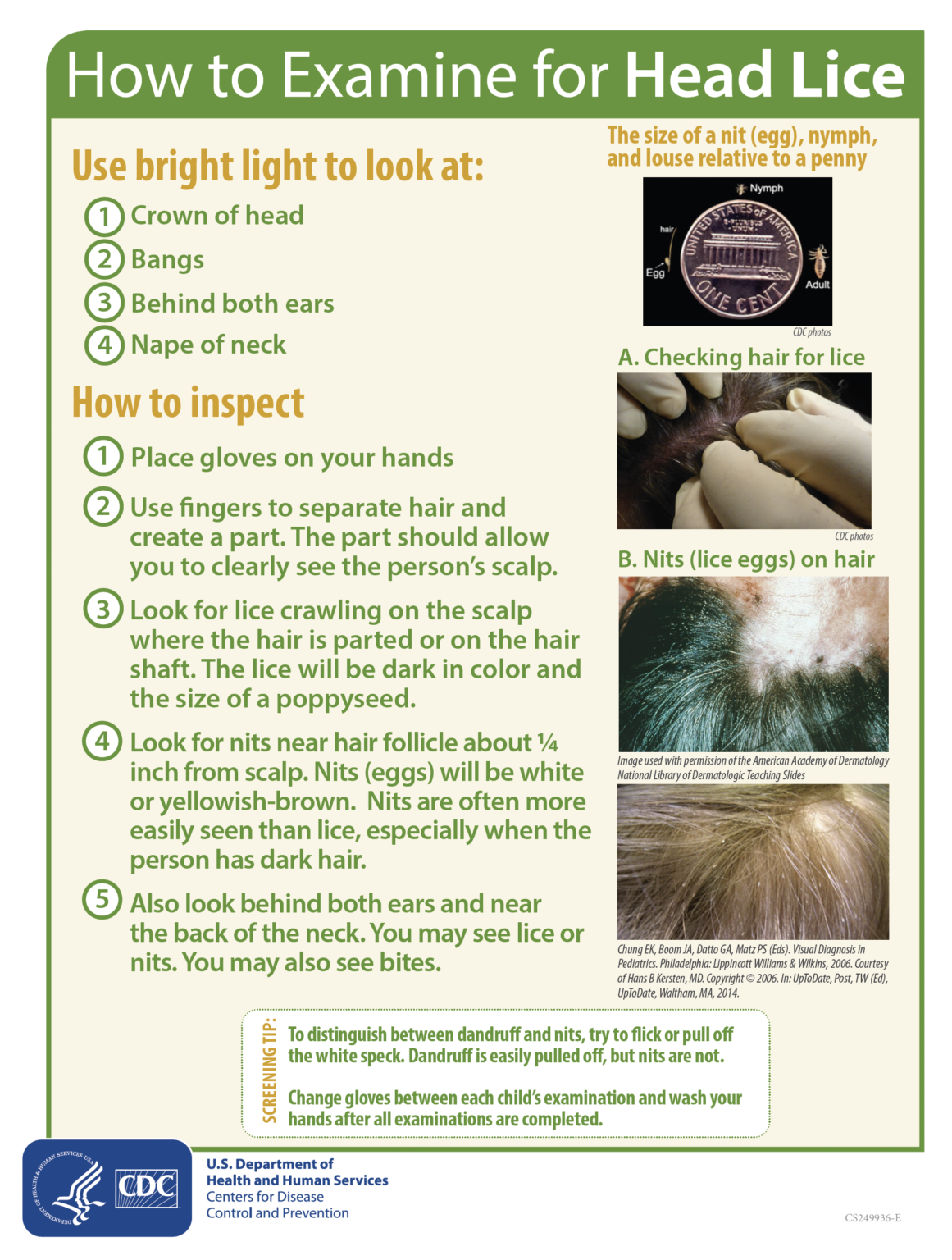 Lice Facts